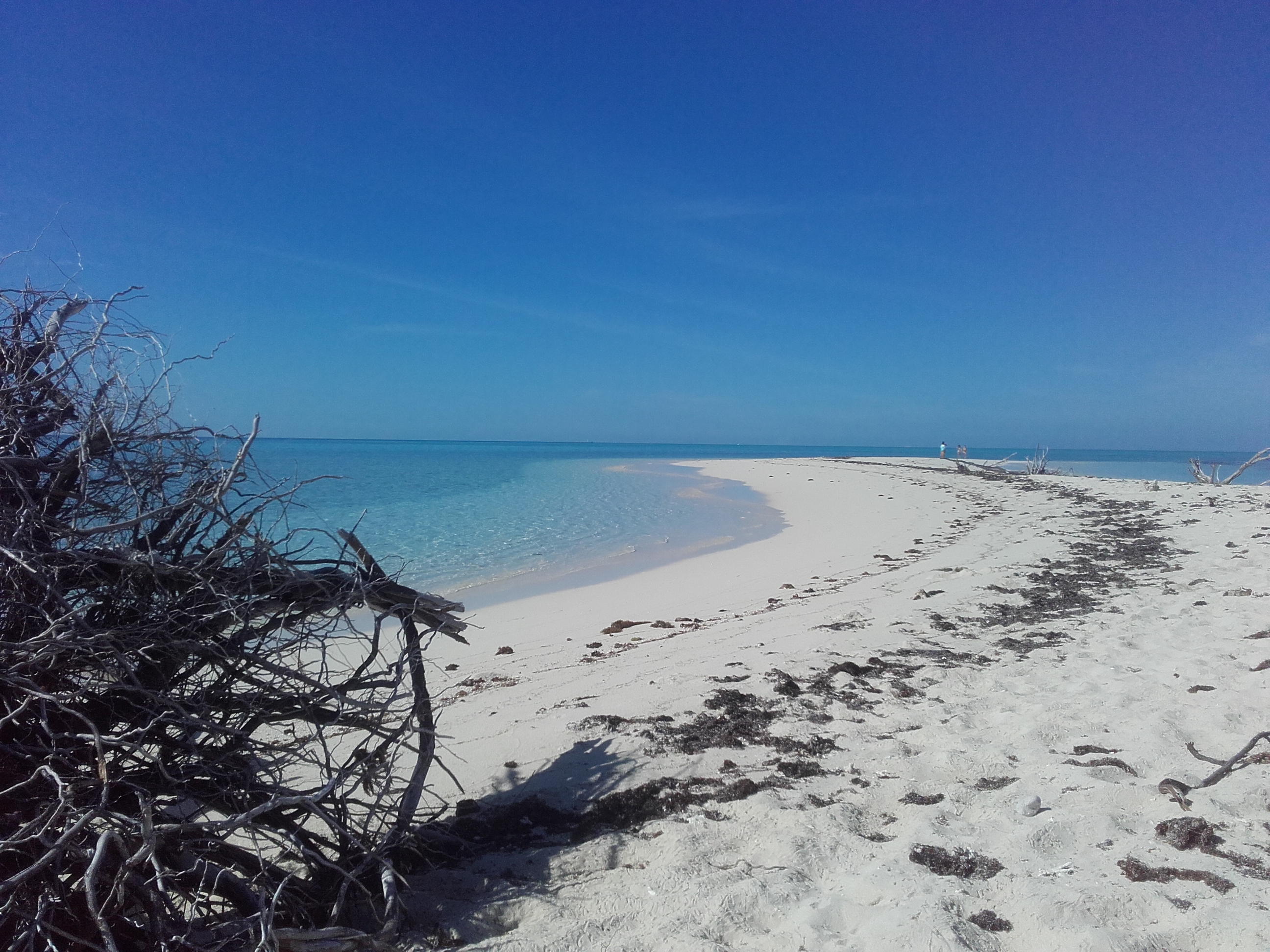 Goeland Island - Blue Lagoon Taxiboat